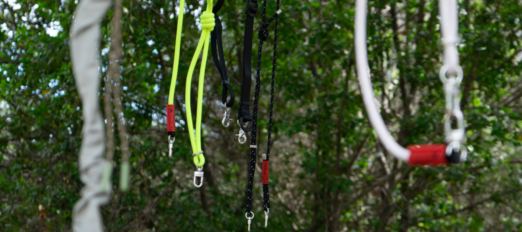 Comprendre les différences entre les types de sangles Topologie – Radar ...